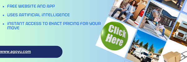 San Francisco vs Los Angeles: Choosing the Better Cali City